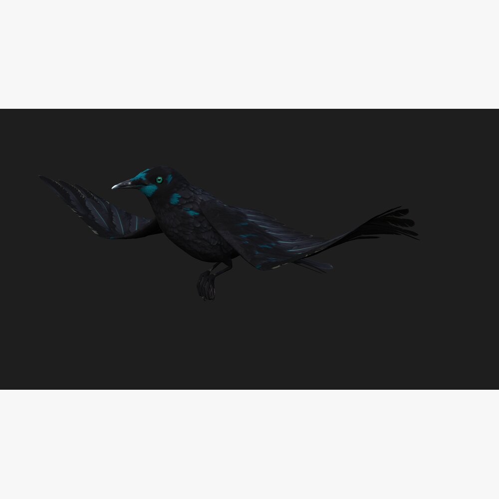 Raven A2 3D model - Download Birds on 3DModels.org
