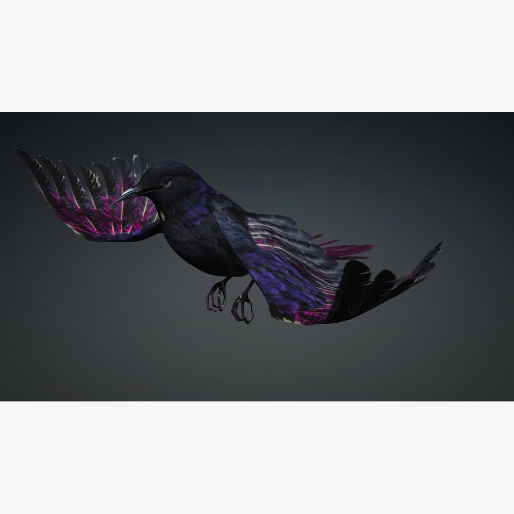Raven A3 3D model - Download Birds on 3DModels.org