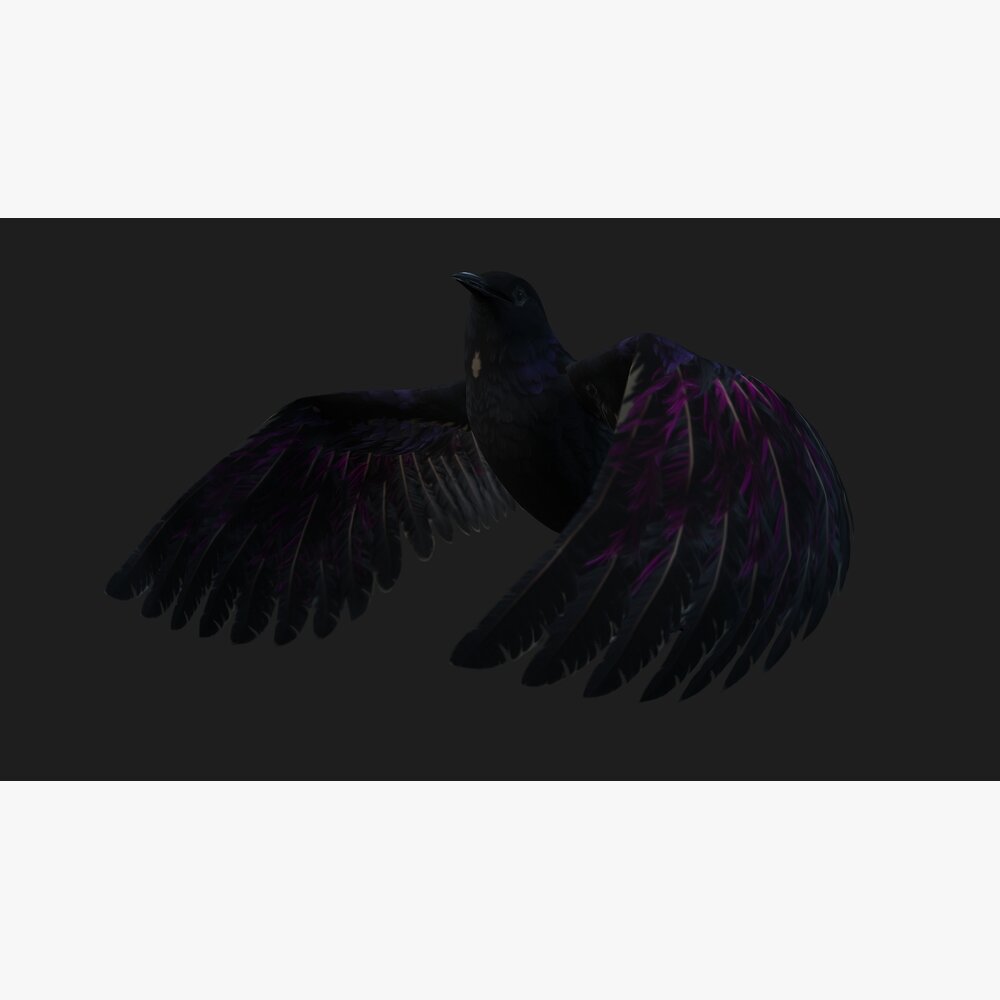 Raven A3 3D model - Download Birds on 3DModels.org