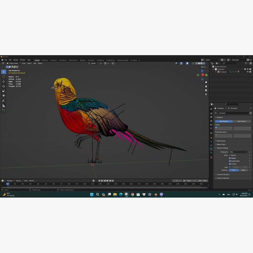 Pheasant A4 3D model - Download Birds on 3DModels.org
