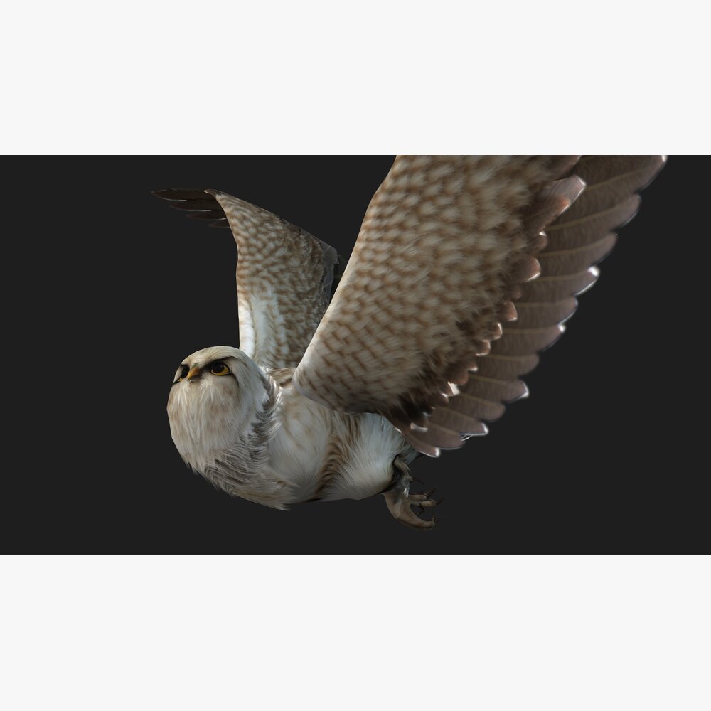 Owl Bird A1 3D model - Download Birds on 3DModels.org