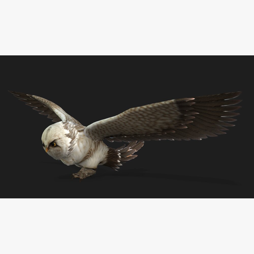 Owl Bird A1 3D model - Download Birds on 3DModels.org