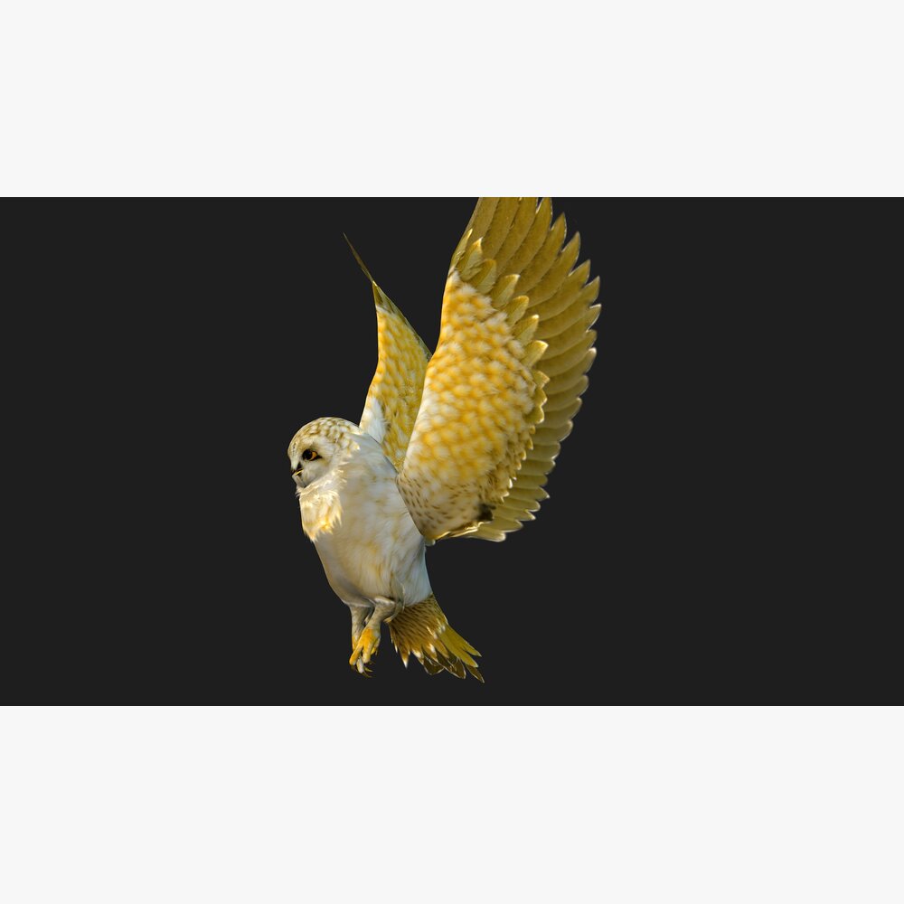 Owl Bird A4 3D model - Download Birds on 3DModels.org