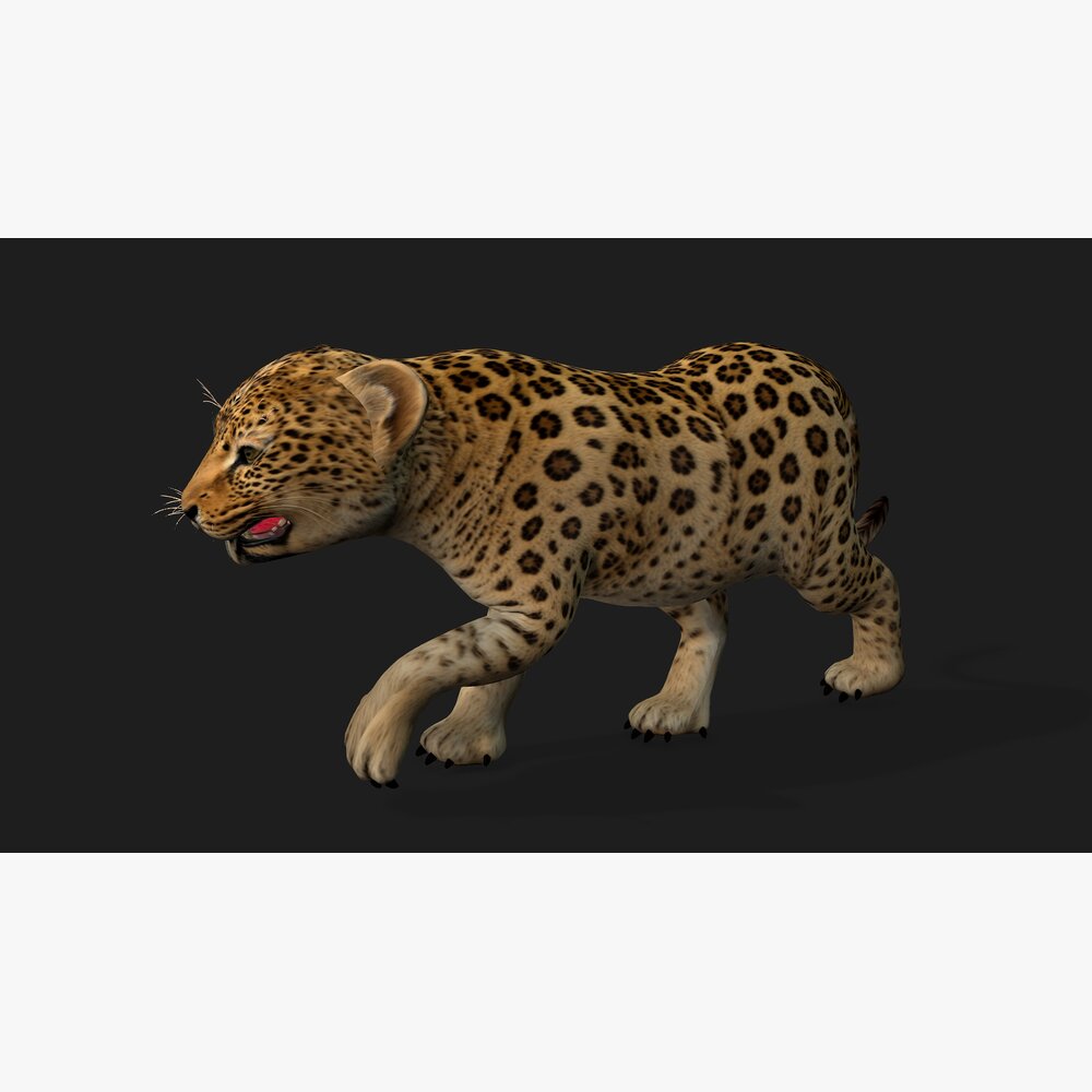 Leopard BB A1 3D model - Download Mammals on 3DModels.org