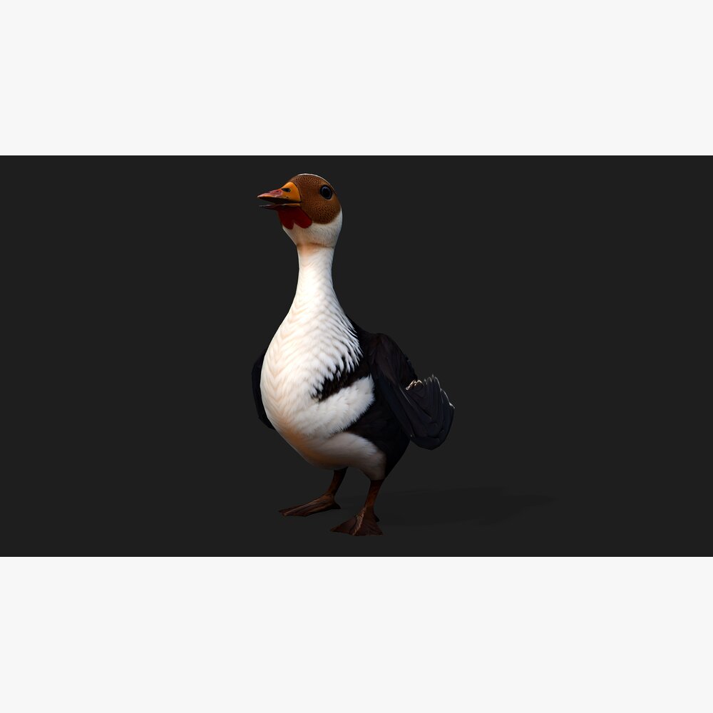Duck A5 3D model - Download Birds on 3DModels.org