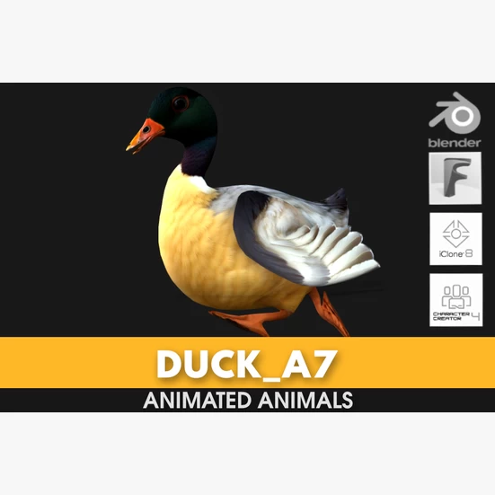 Ducks 3D Models Download - 3DModels.org