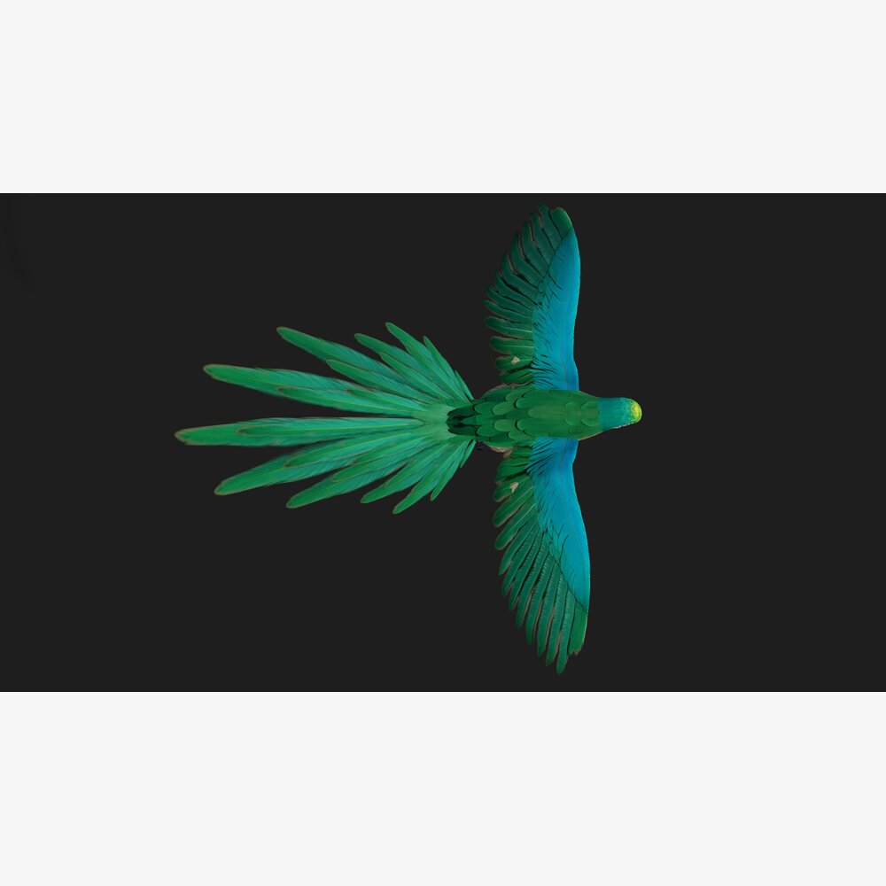 Loro Vibrante A5 Modelo 3D - Descargar Aves on 3DModels.org