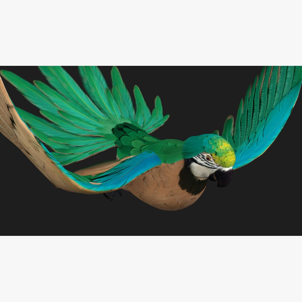 Loro Vibrante A5 Modelo 3D - Descargar Aves on 3DModels.org
