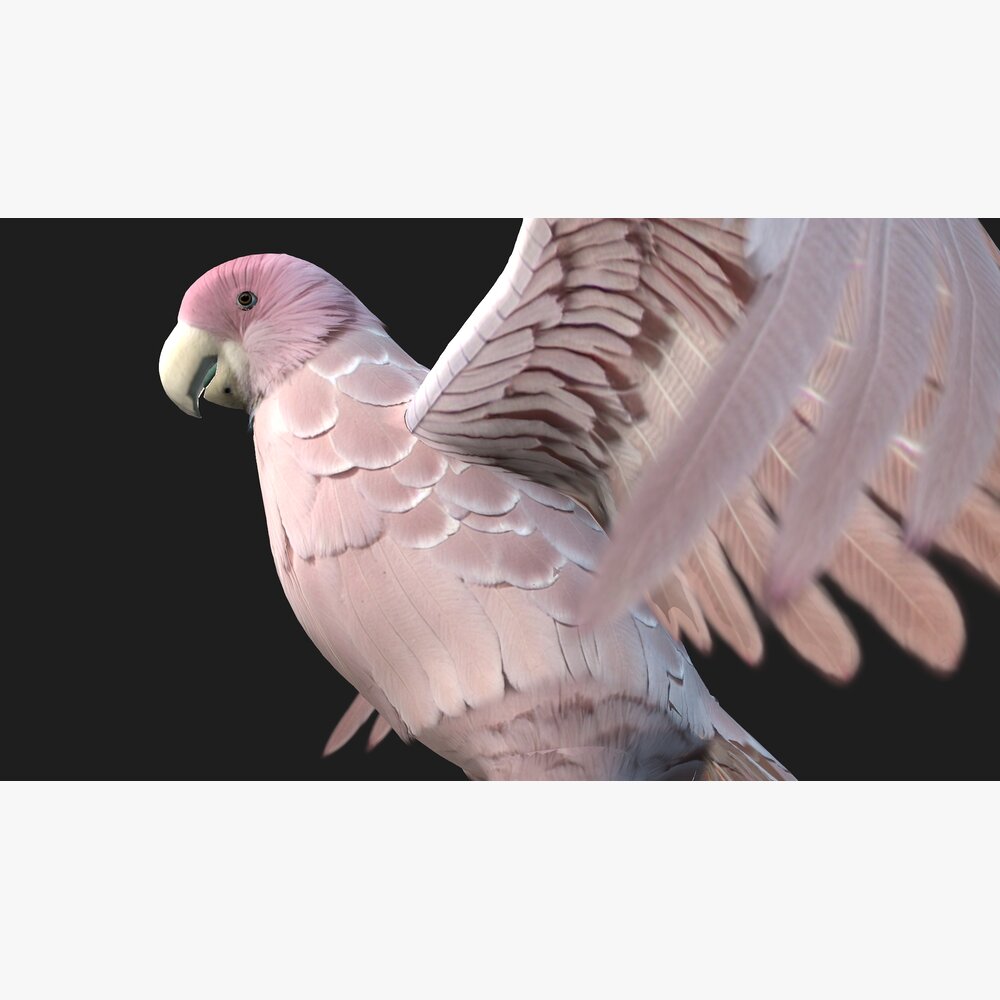 Parrot A9 Modelo 3D - Descargar Aves on 3DModels.org