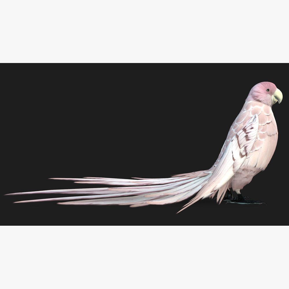Parrot A9 Modelo 3D - Descargar Aves on 3DModels.org