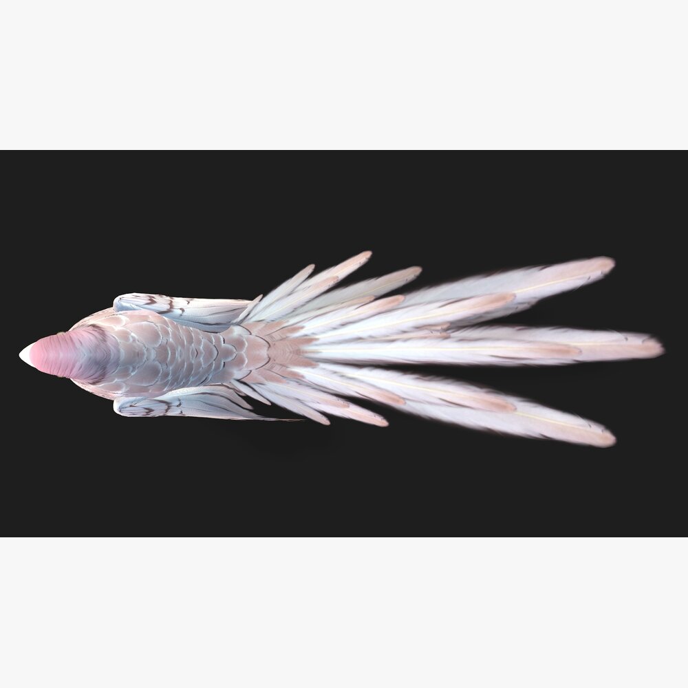 Parrot A9 Modelo 3D - Descargar Aves on 3DModels.org
