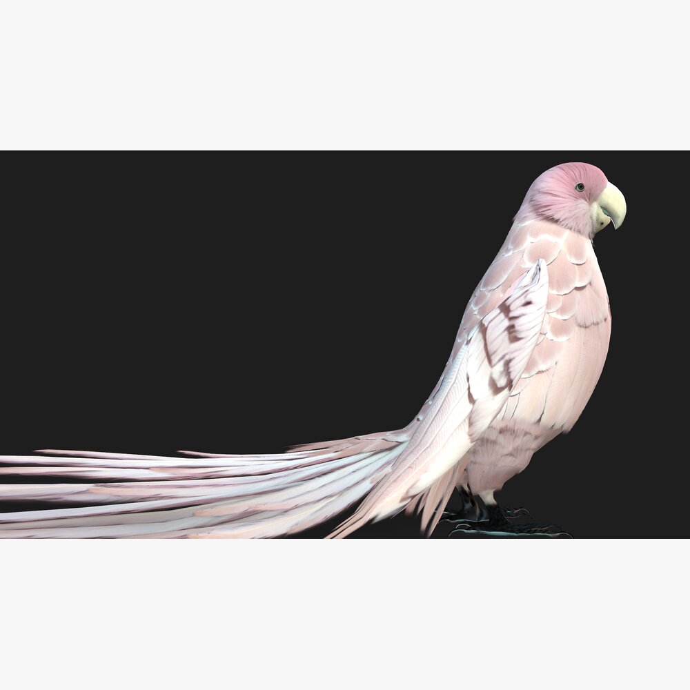 Parrot A9 Modelo 3D - Descargar Aves on 3DModels.org
