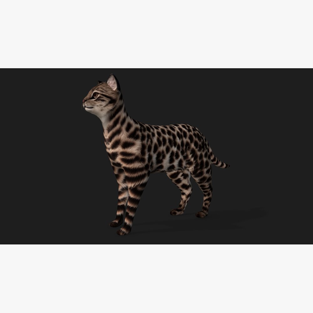 豹猫 3D模型 - 下载 哺乳动物 on 3DModels.org