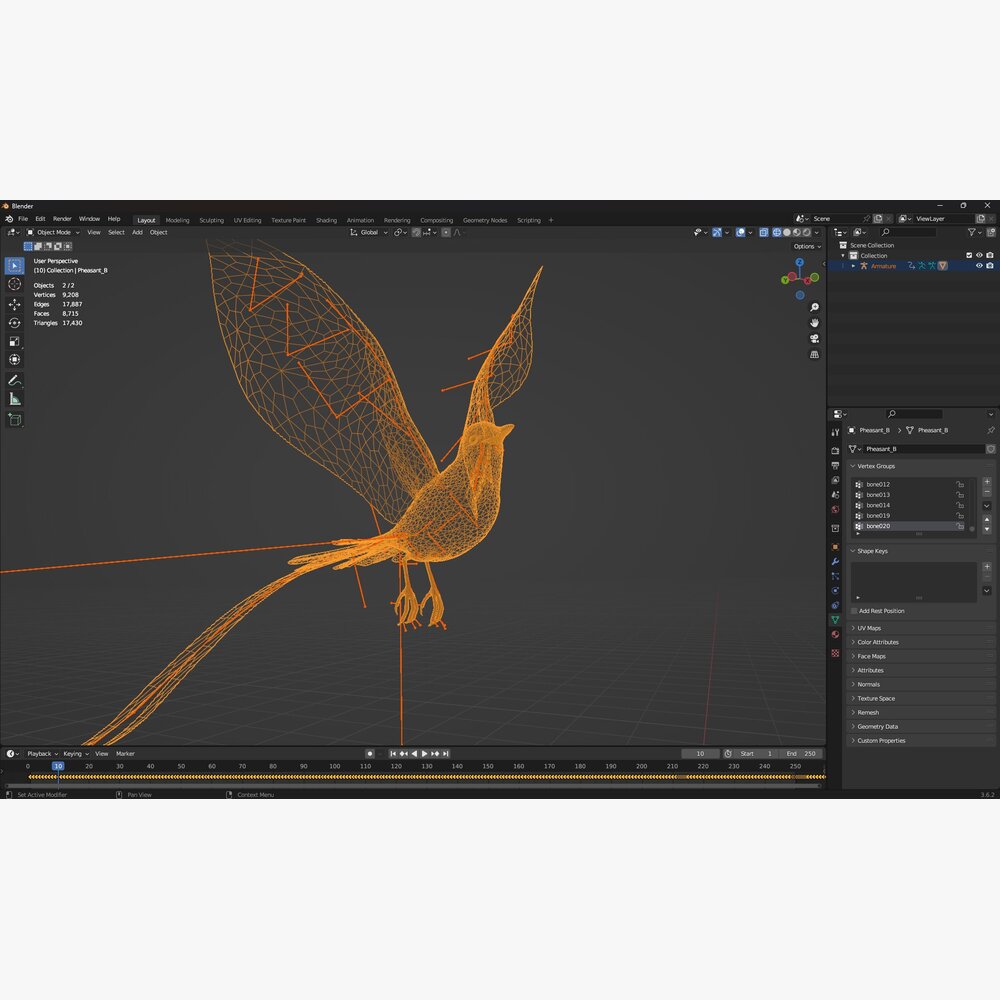 Pheasant Bird B3 3D model - Download Birds on 3DModels.org
