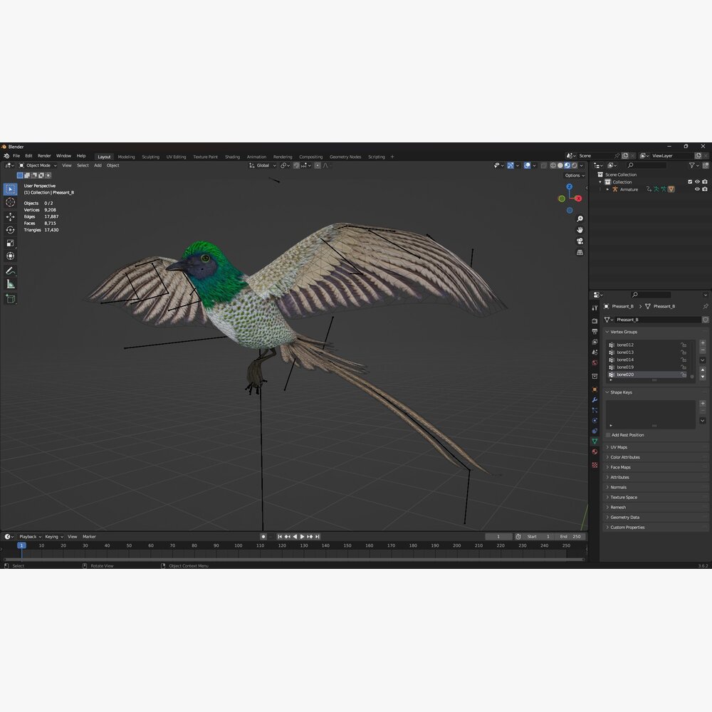 Pheasant Bird B4 3D model - Download Birds on 3DModels.org