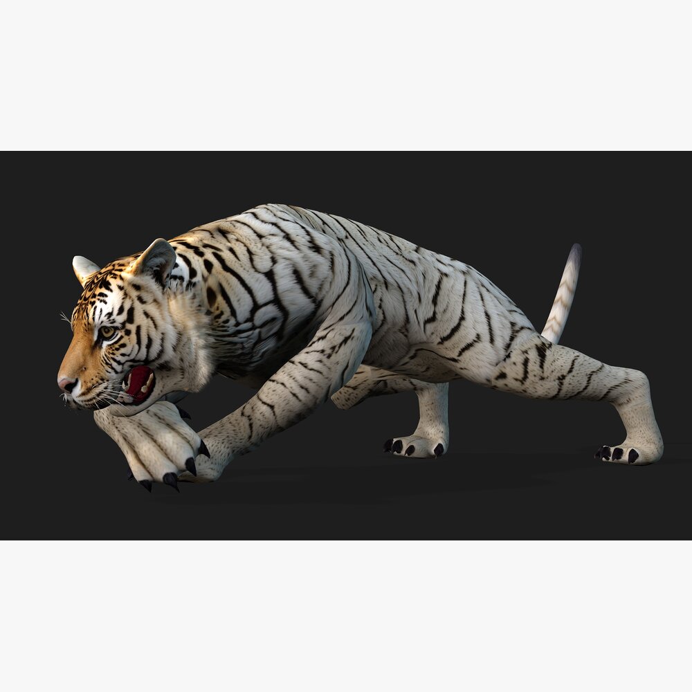 Tiger A1 3D model - Download Mammals on 3DModels.org