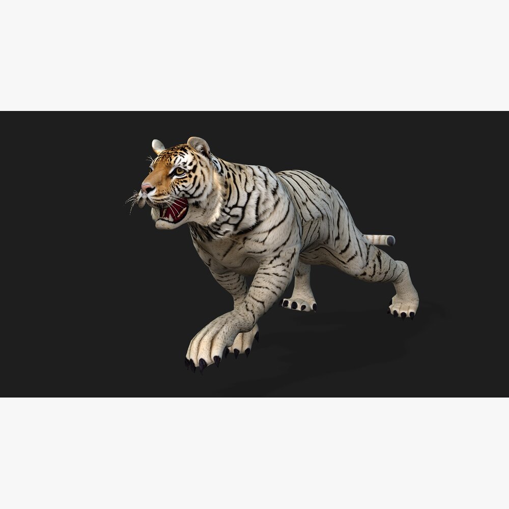 Tiger A1 3D model - Download Mammals on 3DModels.org