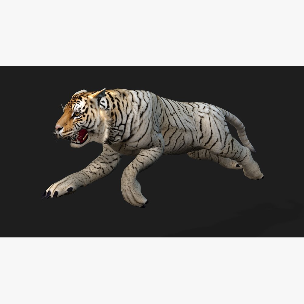 Tiger A1 3D model - Download Mammals on 3DModels.org