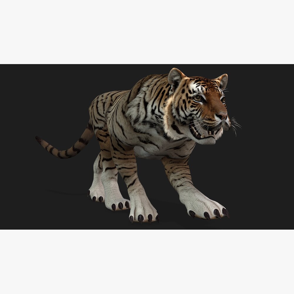 Tiger A3 3D model - Download Mammals on 3DModels.org