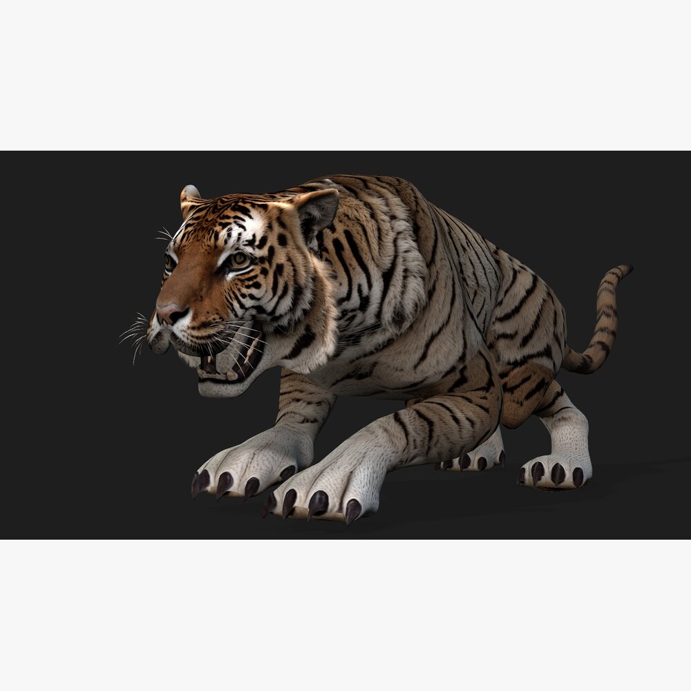 Tiger A3 3D model - Download Mammals on 3DModels.org