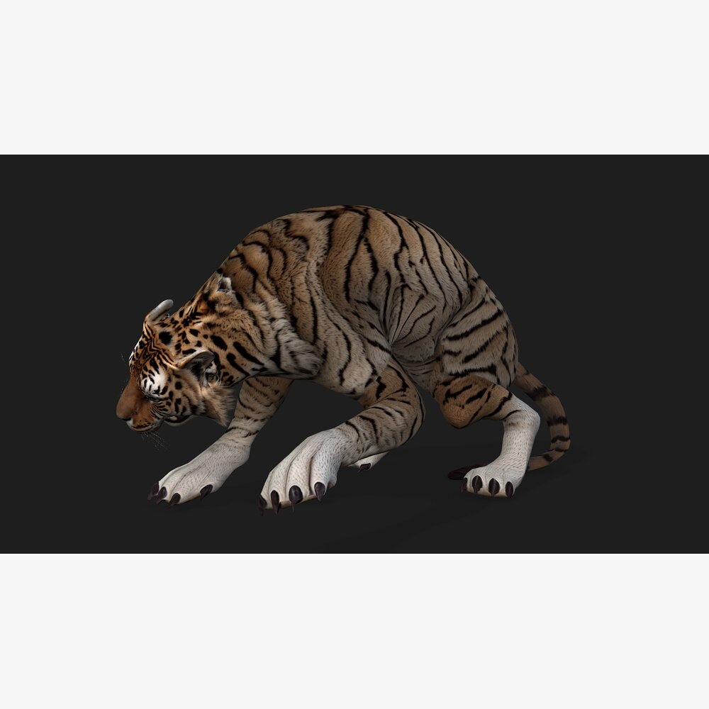 Tiger A3 3D model - Download Mammals on 3DModels.org