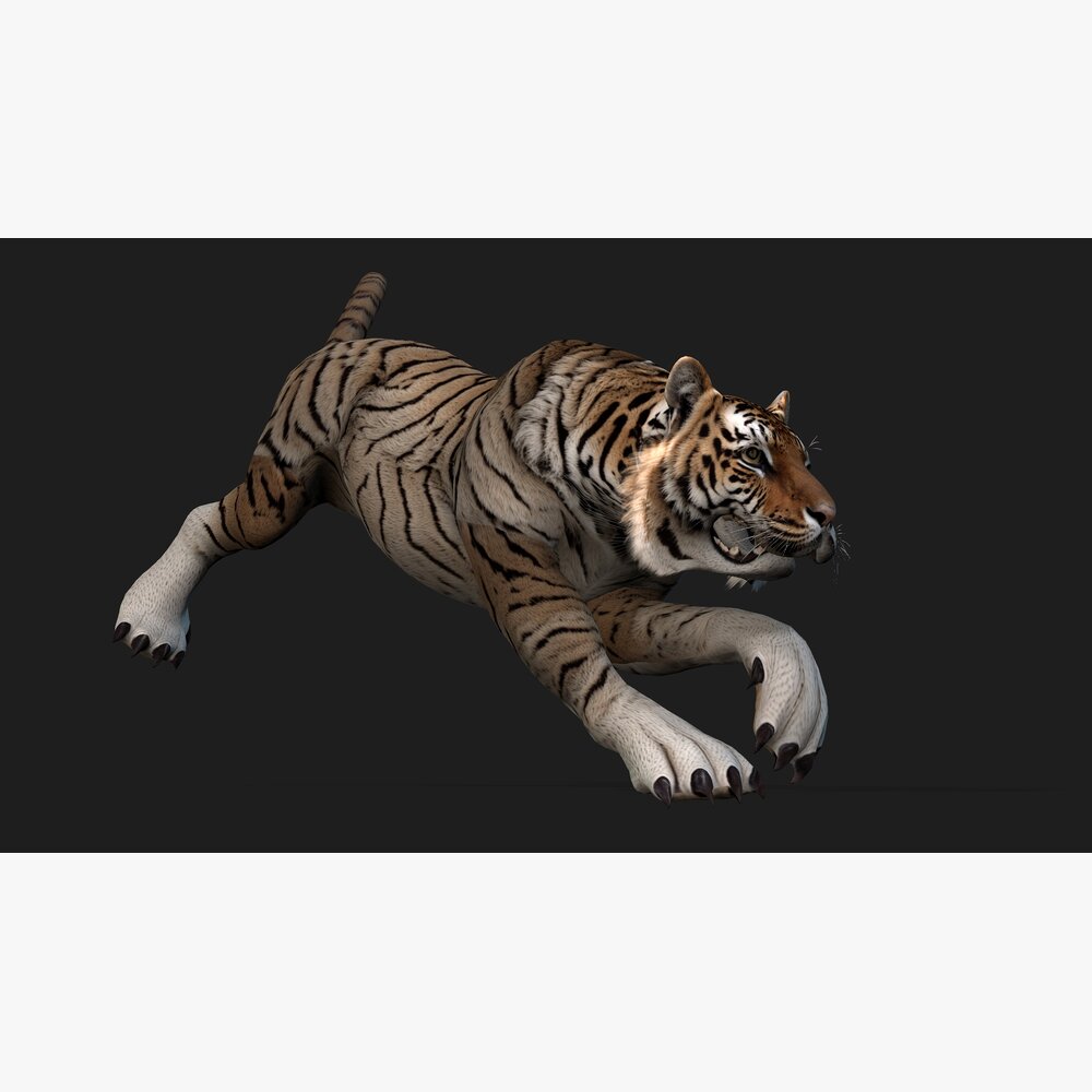 Tiger A3 3D model - Download Mammals on 3DModels.org