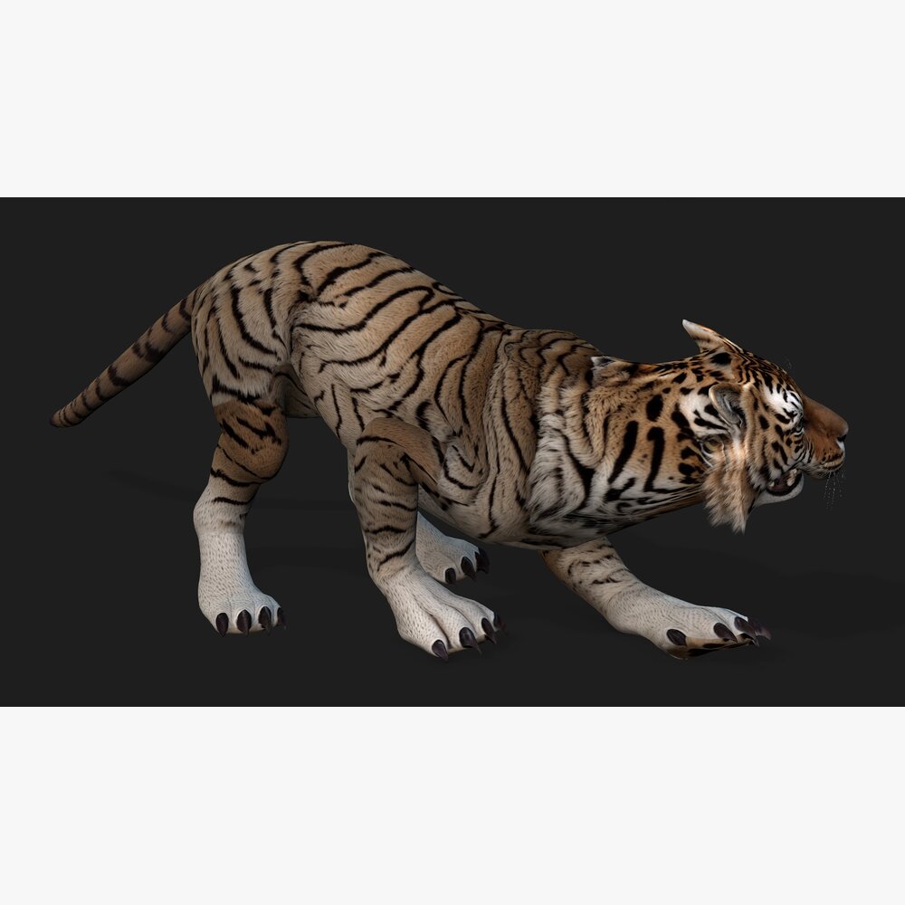 Tiger A3 3D model - Download Mammals on 3DModels.org