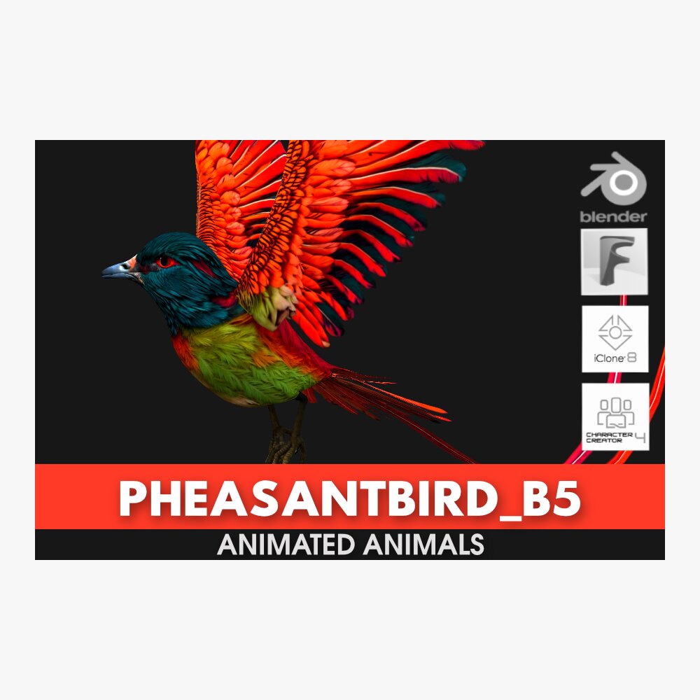 Pheasant Bird B5 3D model - Download Birds on 3DModels.org