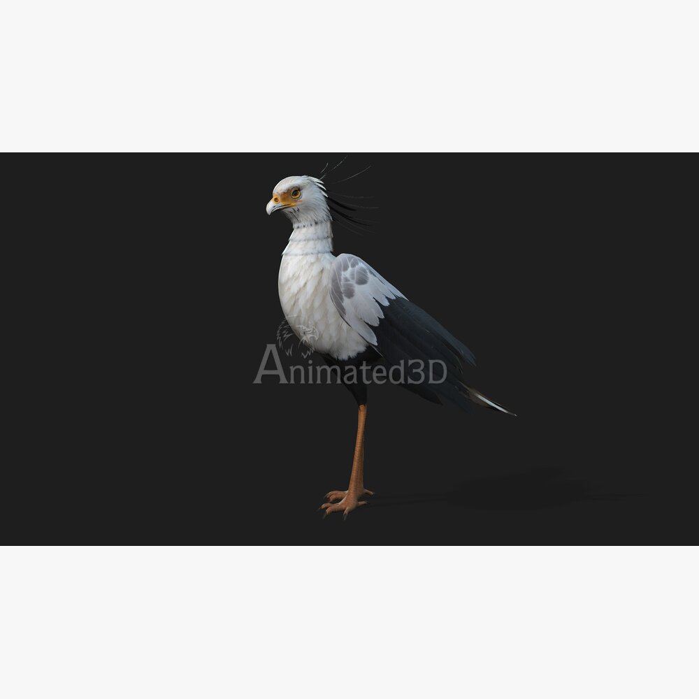 Secretary Bird A1 3D model - Download Birds on 3DModels.org