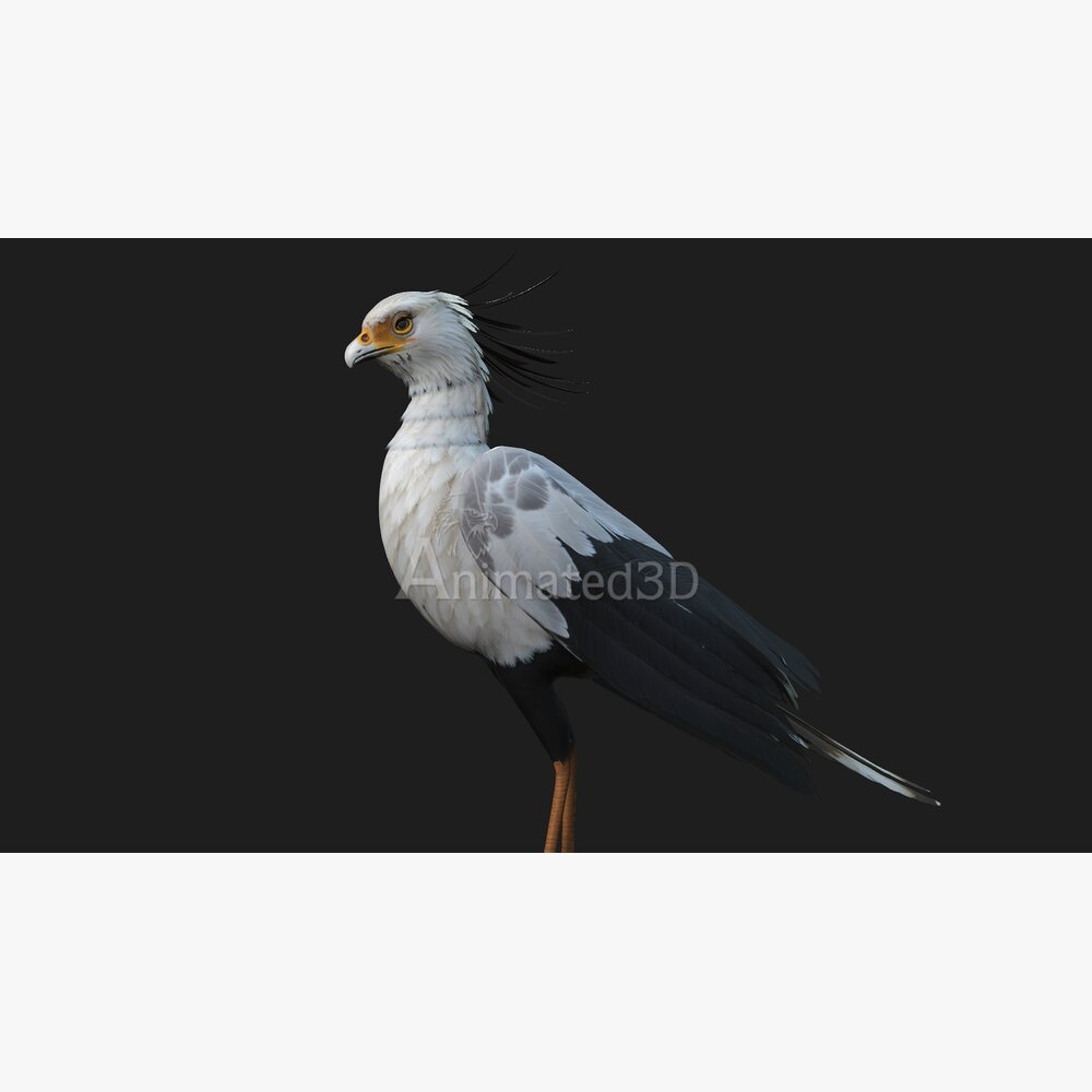Secretary Bird A1 3D model - Download Birds on 3DModels.org