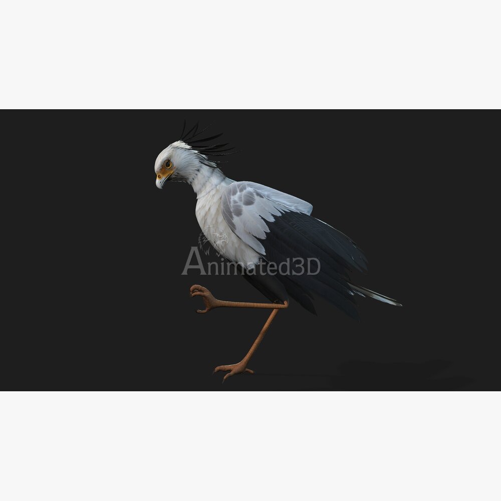 Secretary Bird A1 3D model - Download Birds on 3DModels.org