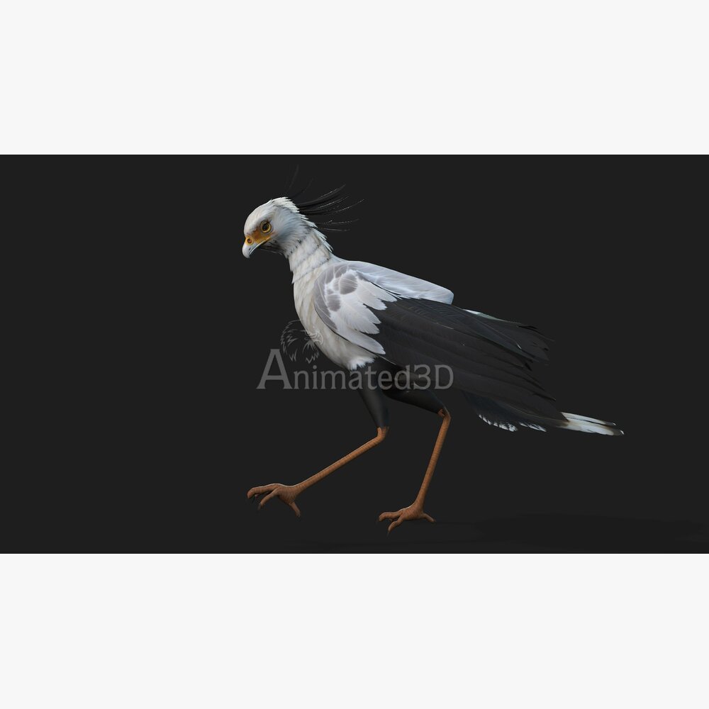 Secretary Bird A1 3D model - Download Birds on 3DModels.org