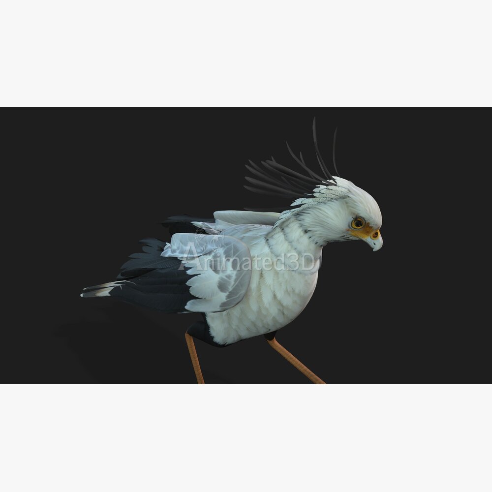 Secretary Bird A1 3D model - Download Birds on 3DModels.org