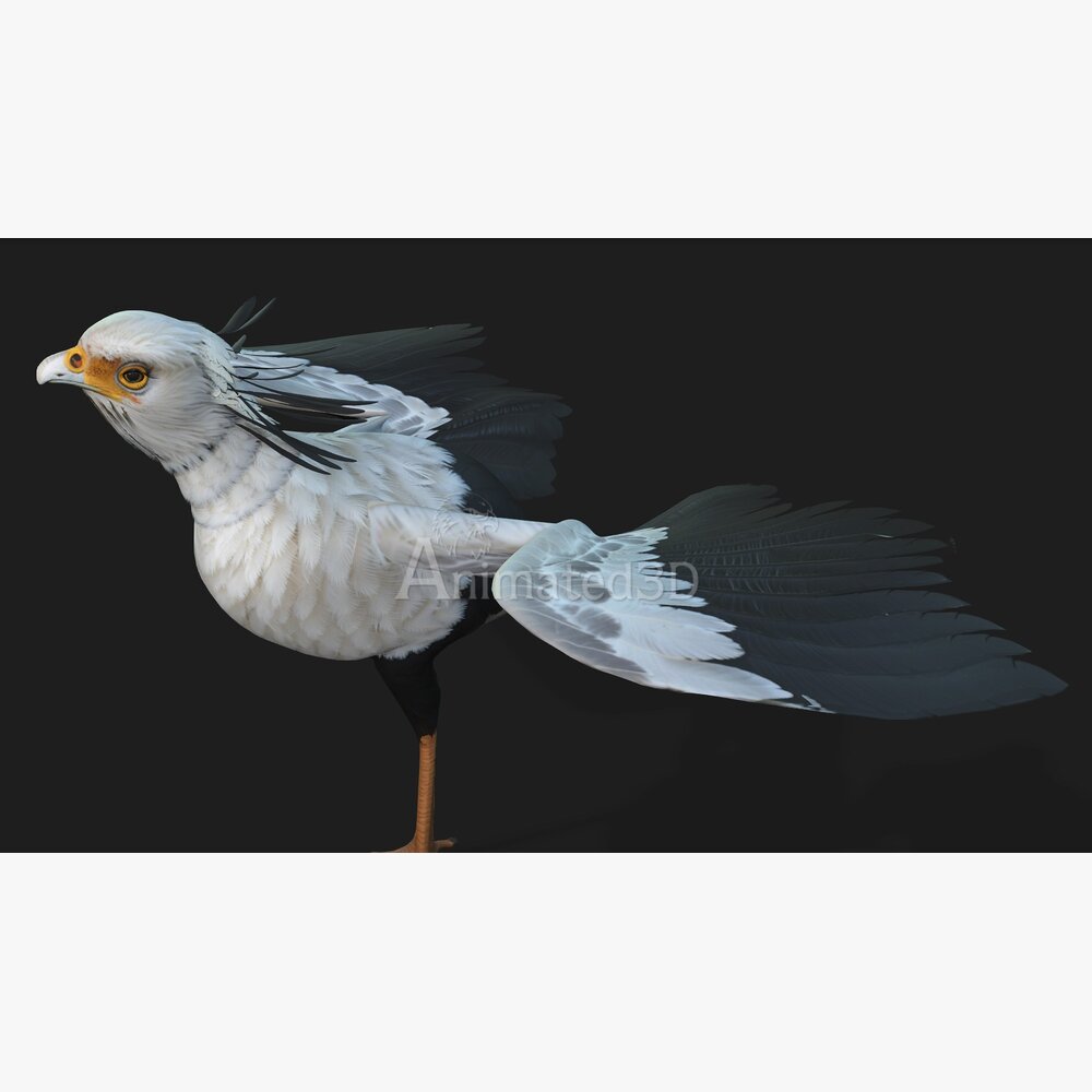 Secretary Bird A1 3D model - Download Birds on 3DModels.org