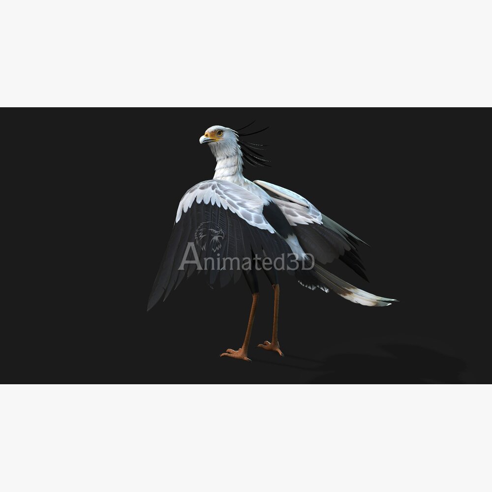 Secretary Bird A1 3D model - Download Birds on 3DModels.org