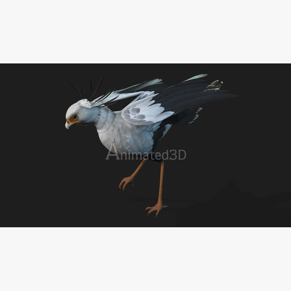 Secretary Bird A1 3D model - Download Birds on 3DModels.org