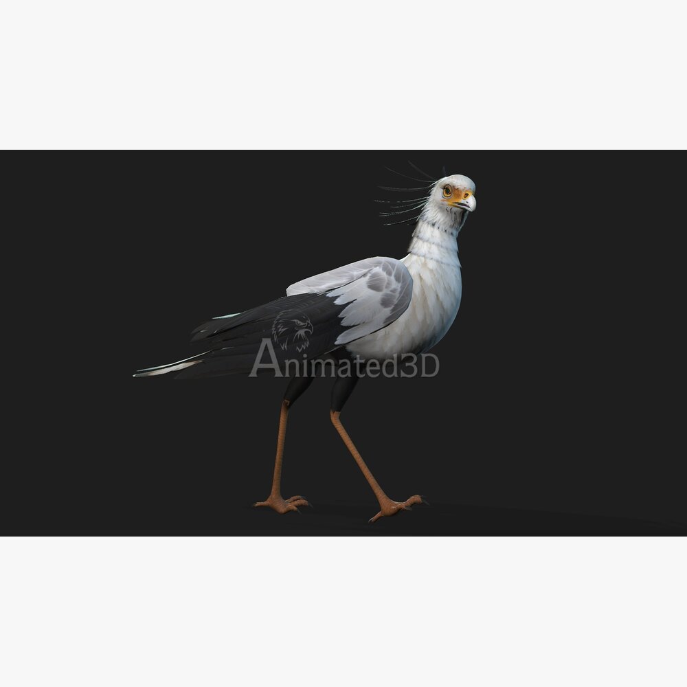 Secretary Bird A1 3D model - Download Birds on 3DModels.org