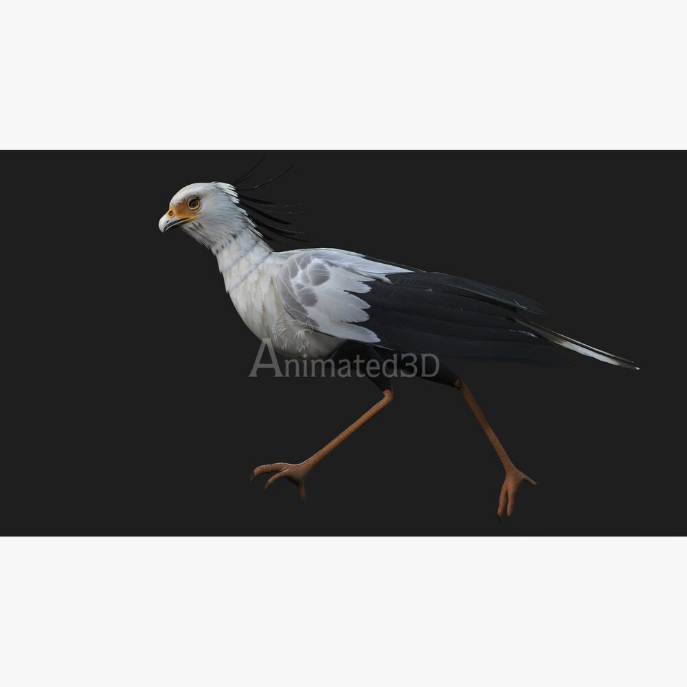 Secretary Bird A1 3D model - Download Birds on 3DModels.org