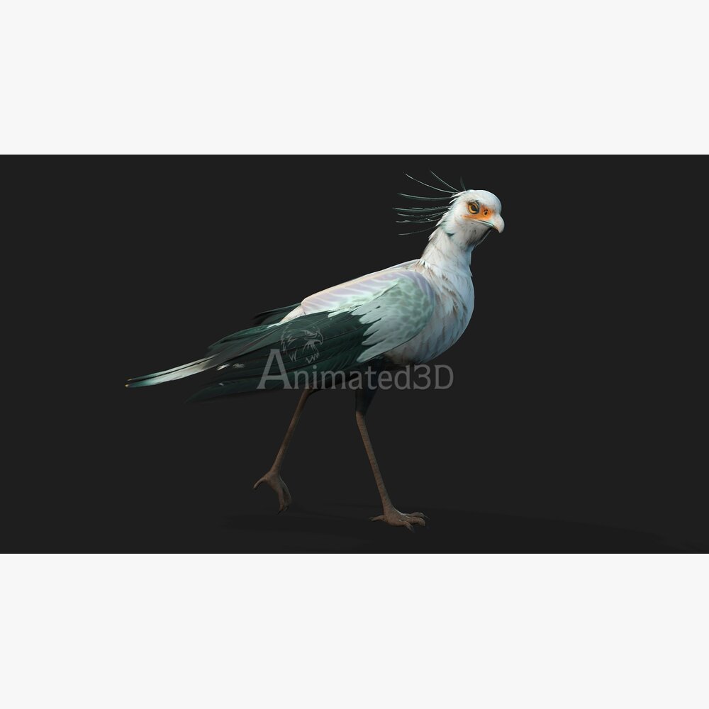Secretary Bird A2 3D model - Download Birds on 3DModels.org