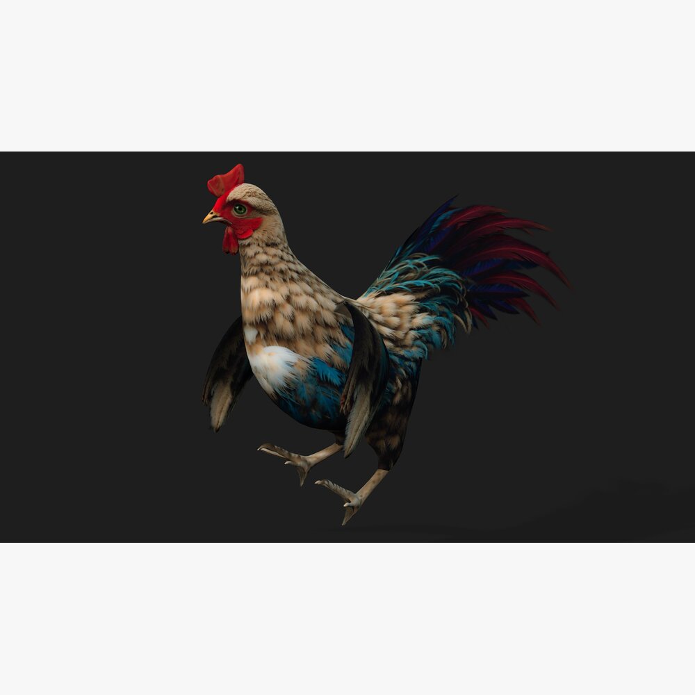 Chicken A4 3D model - Download Birds on 3DModels.org