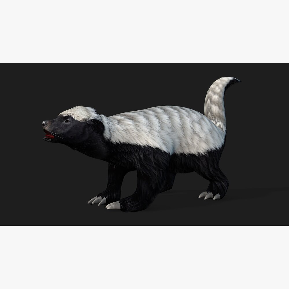 Texugo Mel Modelo 3D - Baixar Mamíferos no 3DModels.org