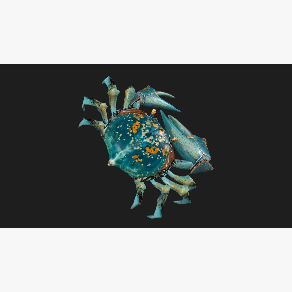Crab C3 3D model - Download Arthropod on 3DModels.org