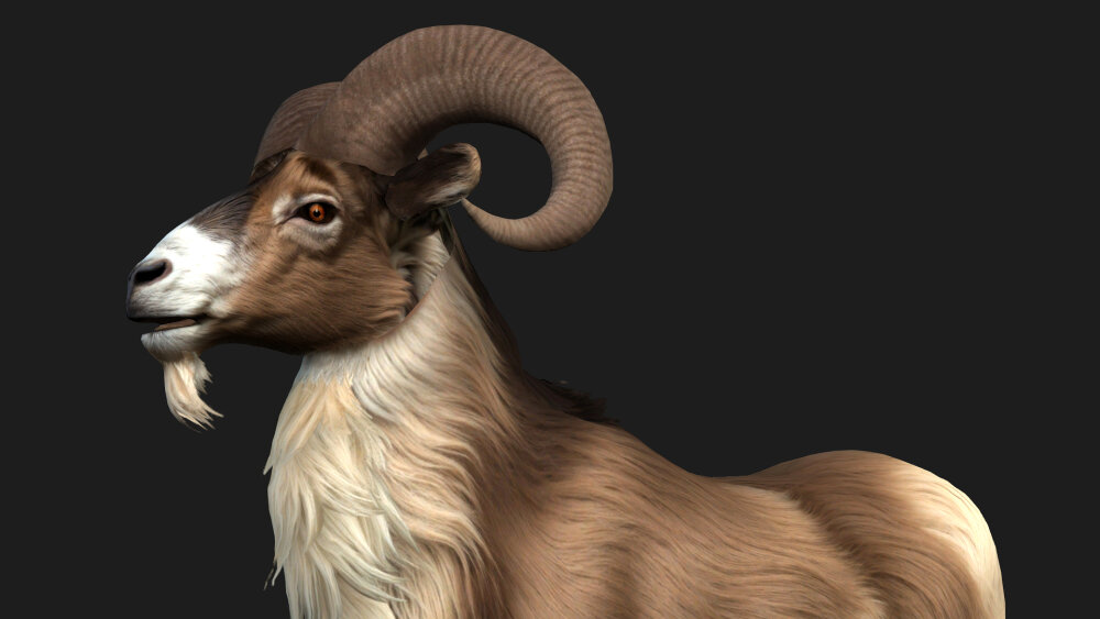 Goat B1 3D model - Download Mammals on 3DModels.org