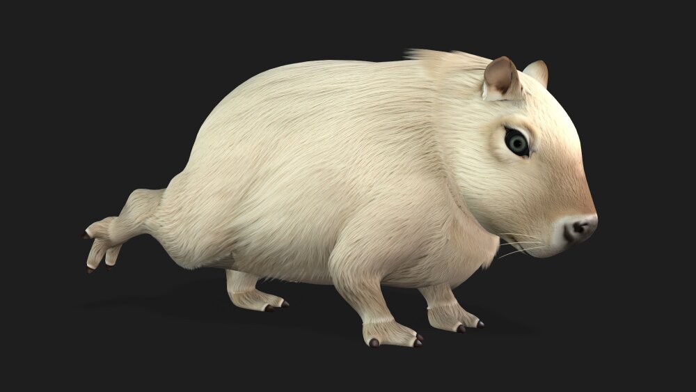 Capibara A2 Modelo 3D - Descargar Mammalia on 3DModels.org