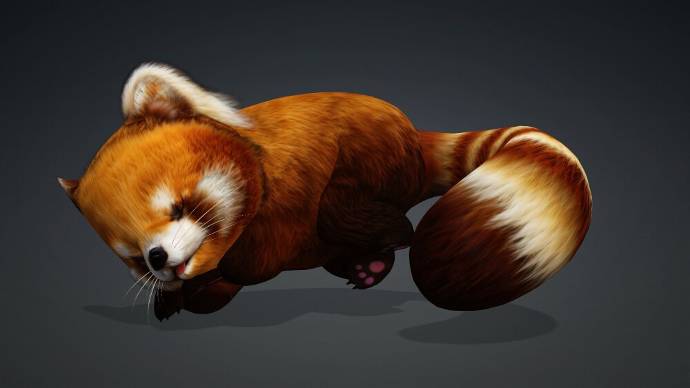 Red Panda A1 3D model - Download Mammals on 3DModels.org