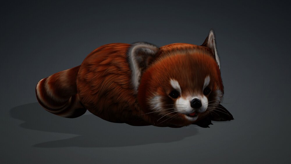 Red Panda A2 3D model - Download Mammals on 3DModels.org