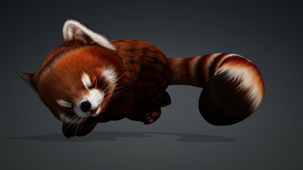 Red Panda A2 3D model - Download Mammals on 3DModels.org
