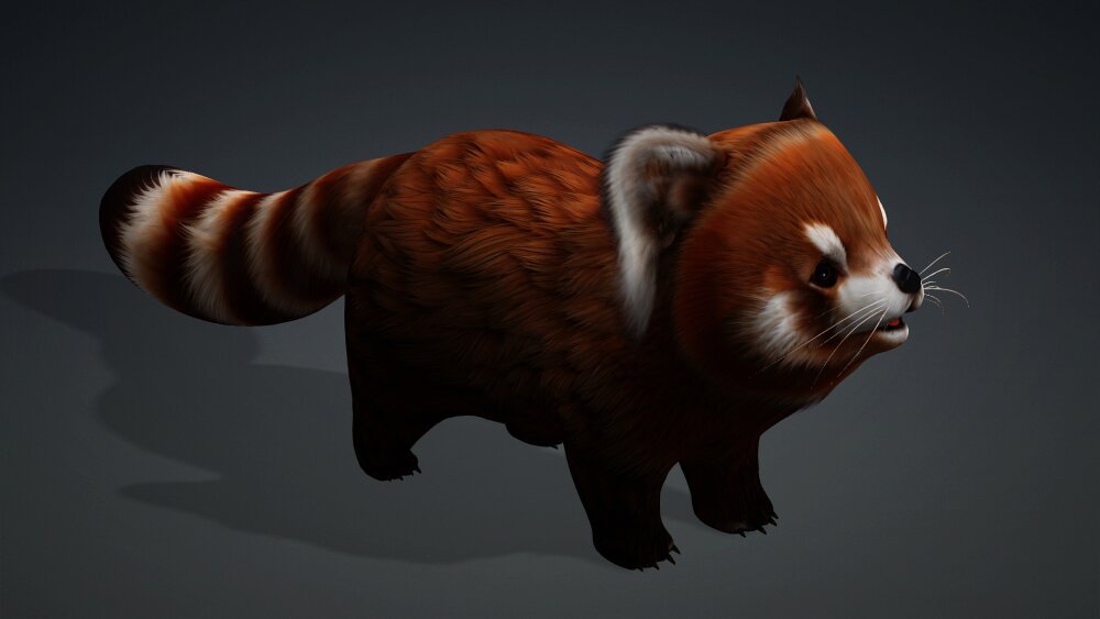 Red Panda A2 3D model - Download Mammals on 3DModels.org