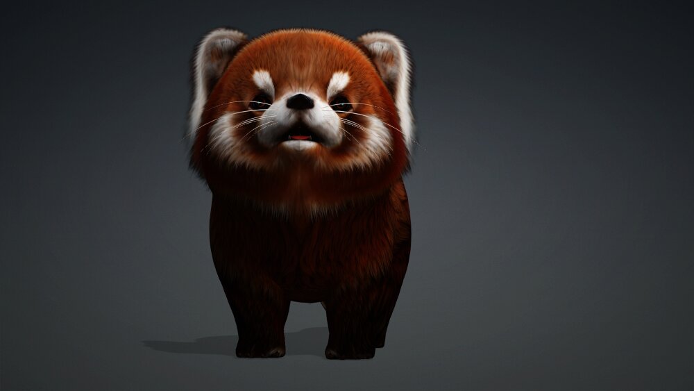 Red Panda A2 3D model - Download Mammals on 3DModels.org