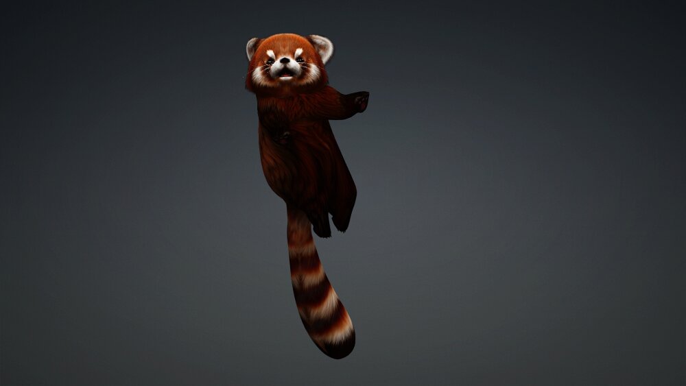 Red Panda A2 3D model - Download Mammals on 3DModels.org